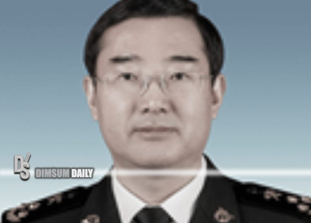 Chinese customs offices see substantial results in facilitating cross ...