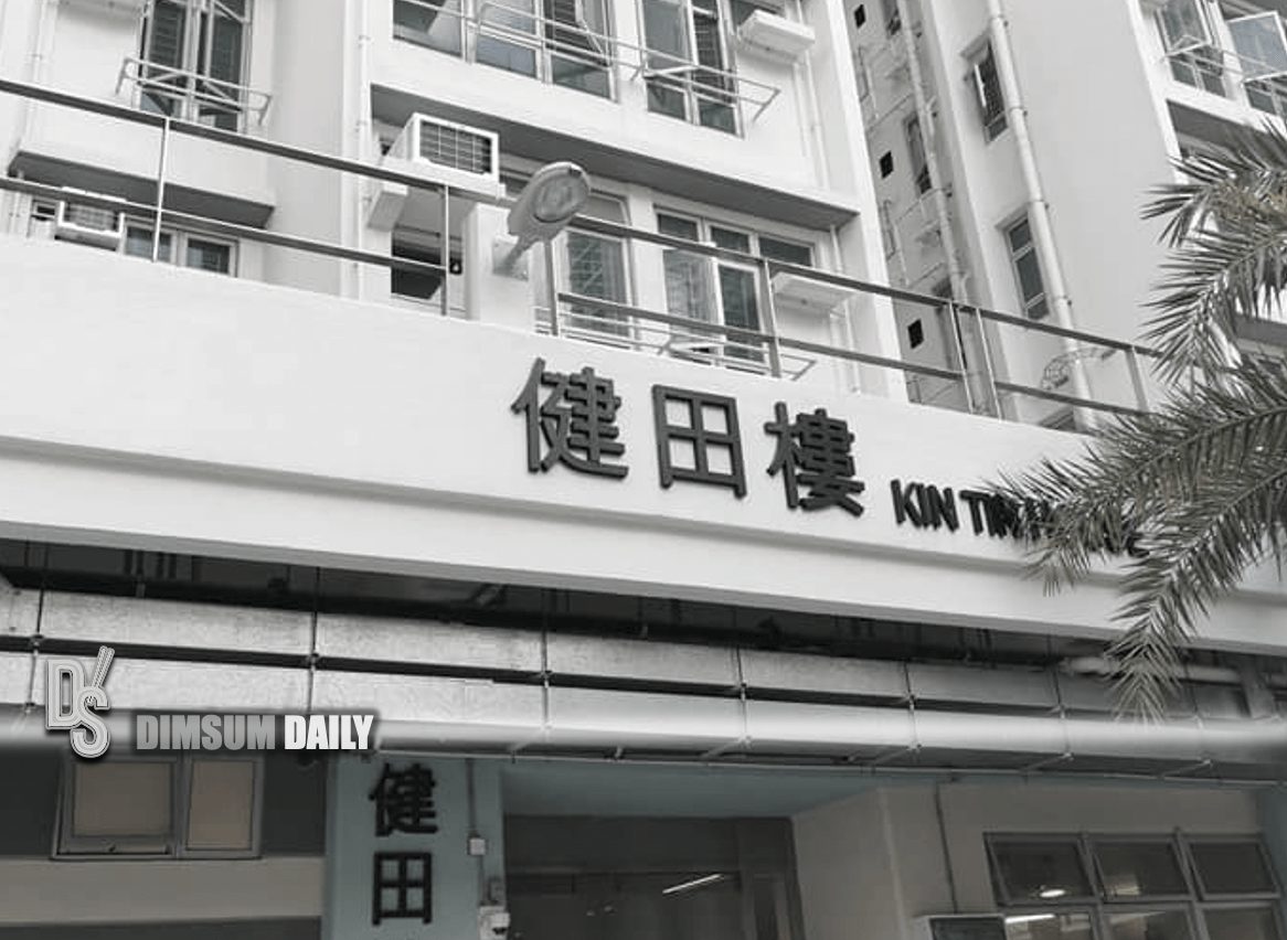 Woman arrested for allegedly killing a cat at Pak Tin Estate, Shek Kip ...