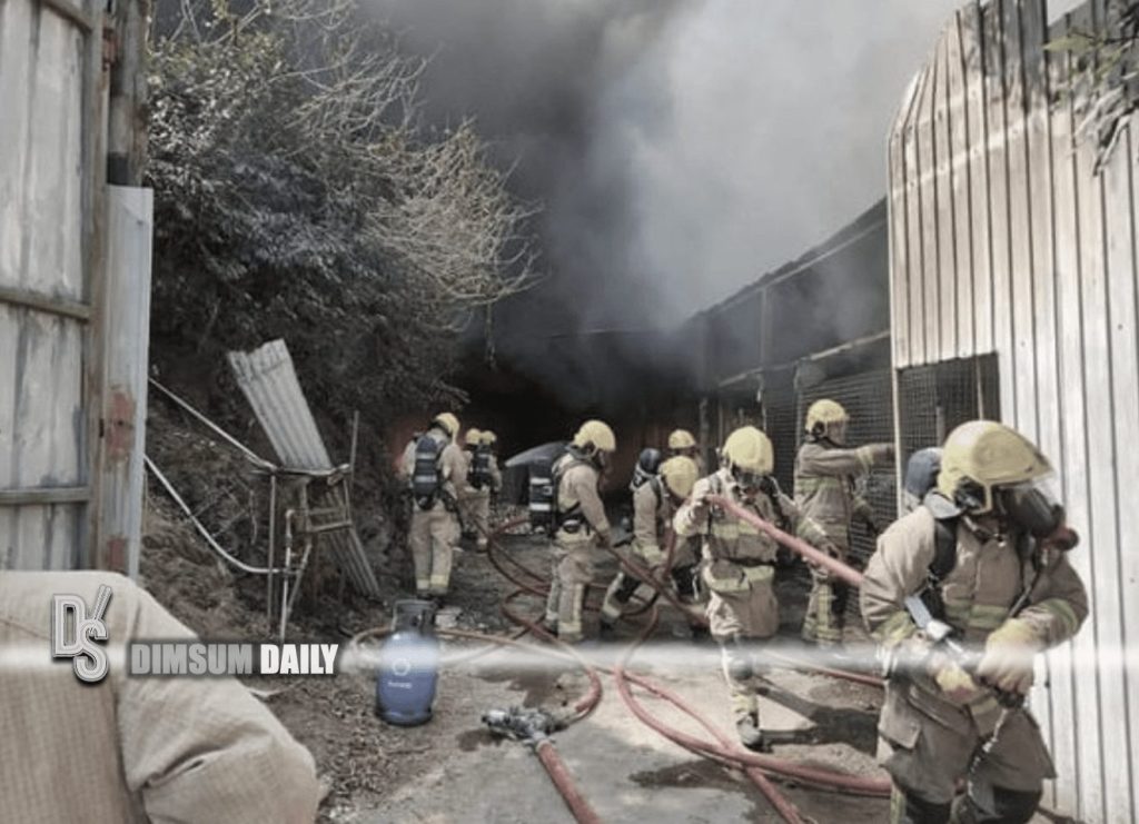 Fire breaks out at recycling site on Ng Chow Road in Ping Che - Dimsum ...