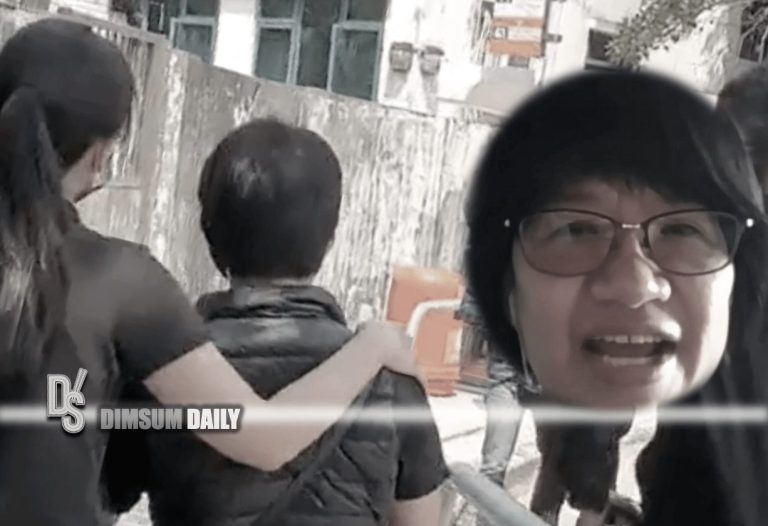 Wife of pro-democracy activist Lee Cheuk-yan arrested by national ...
