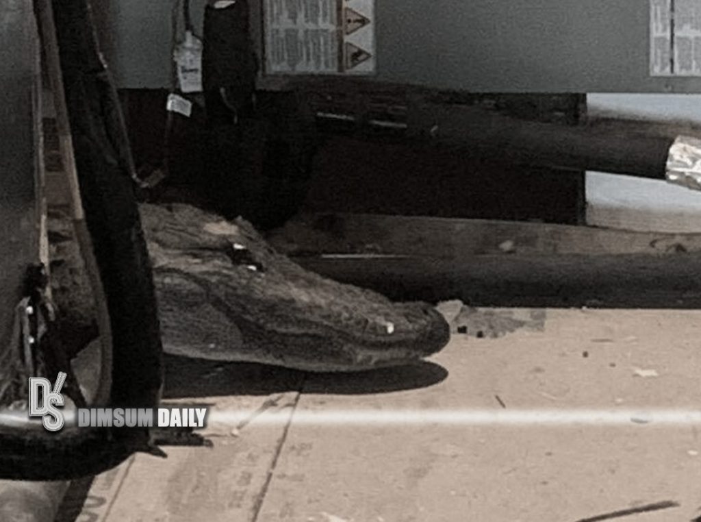 New construction home inspector in North Carolina stumbles across 8 ...