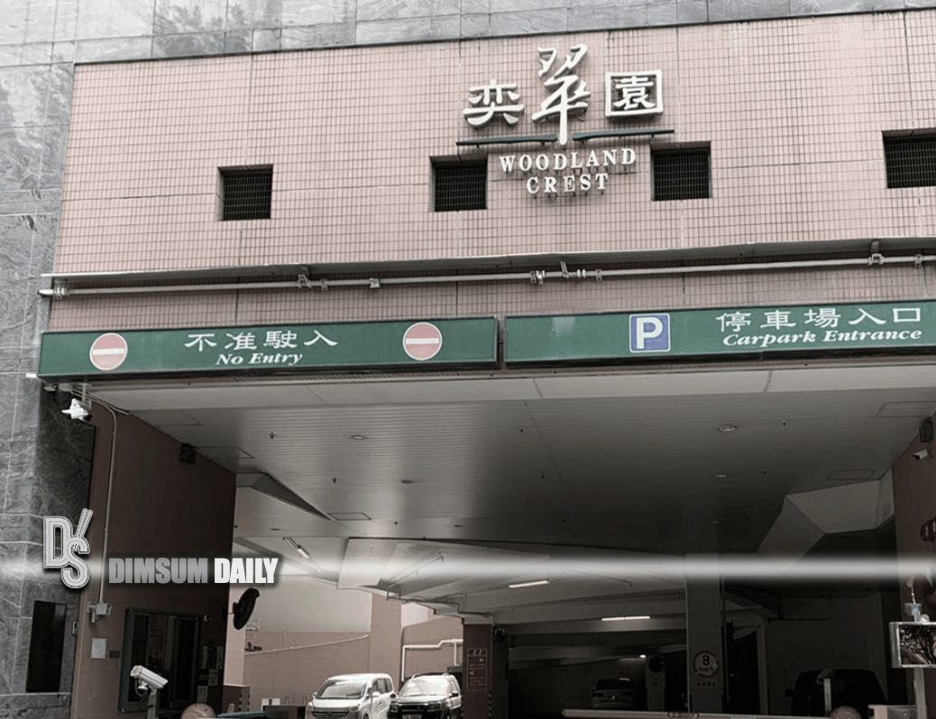 4 attackers brutally injure man at Woodland Crest Car Park in Sheung ...