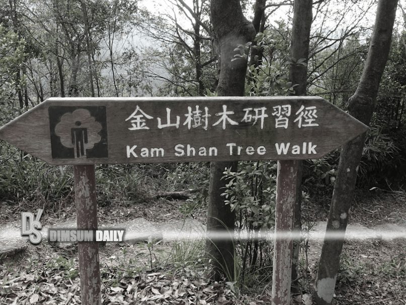 Two men arrested for suspected shooting of monkeys with air guns near ...