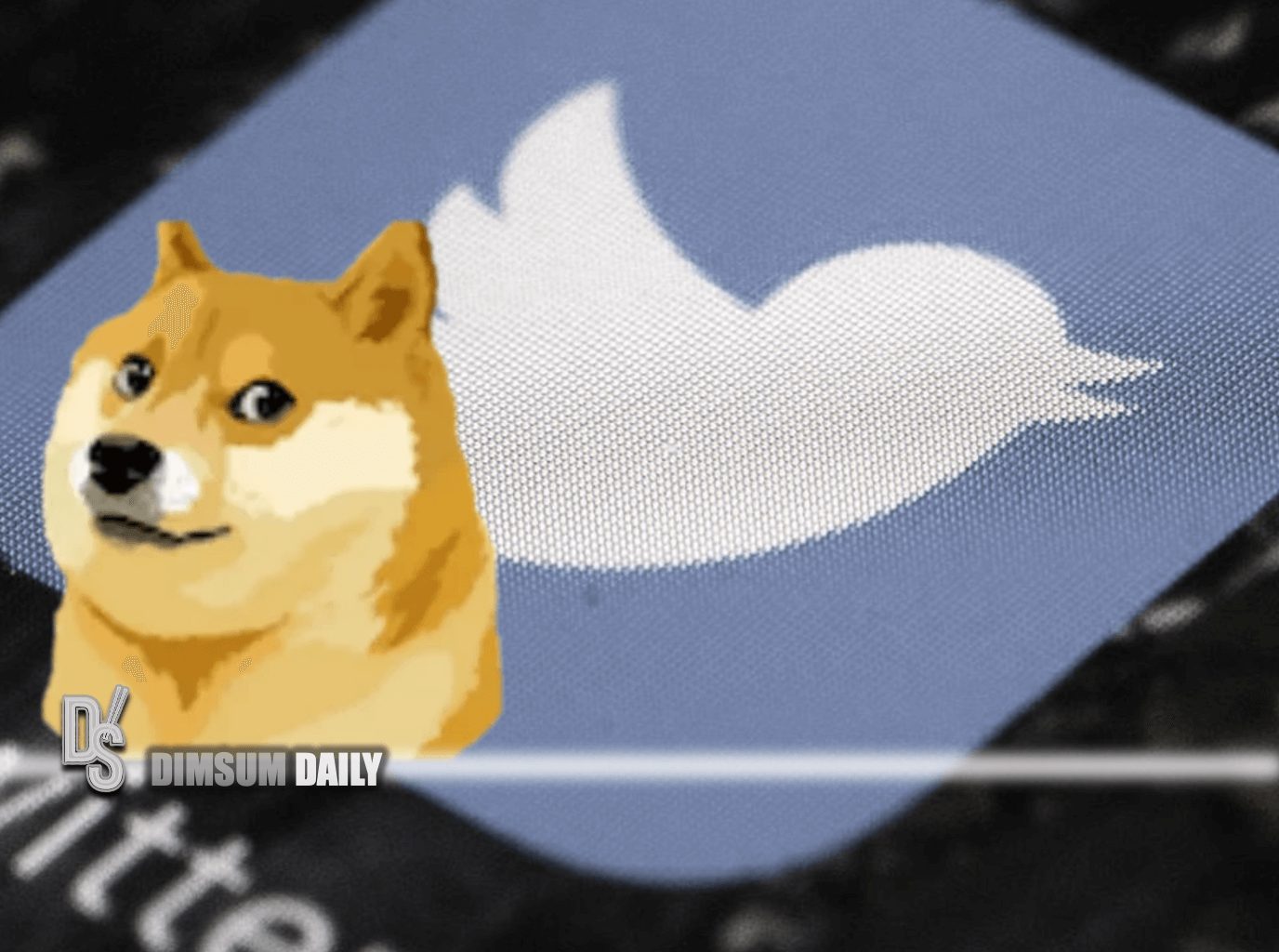 Dogecoin (DOGE) slumps as Twitter changes logo, drops 7.3% - Dimsum Daily