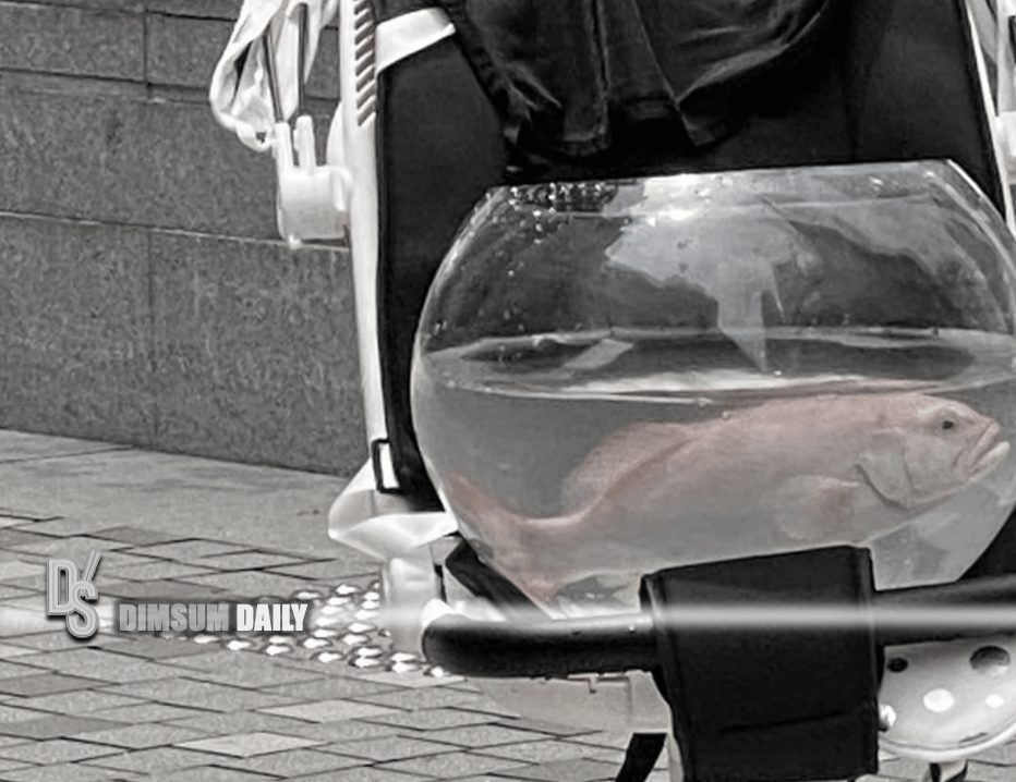 Resident in Lohas Park pushes fish tank on a stroller to buy fresh fish ...