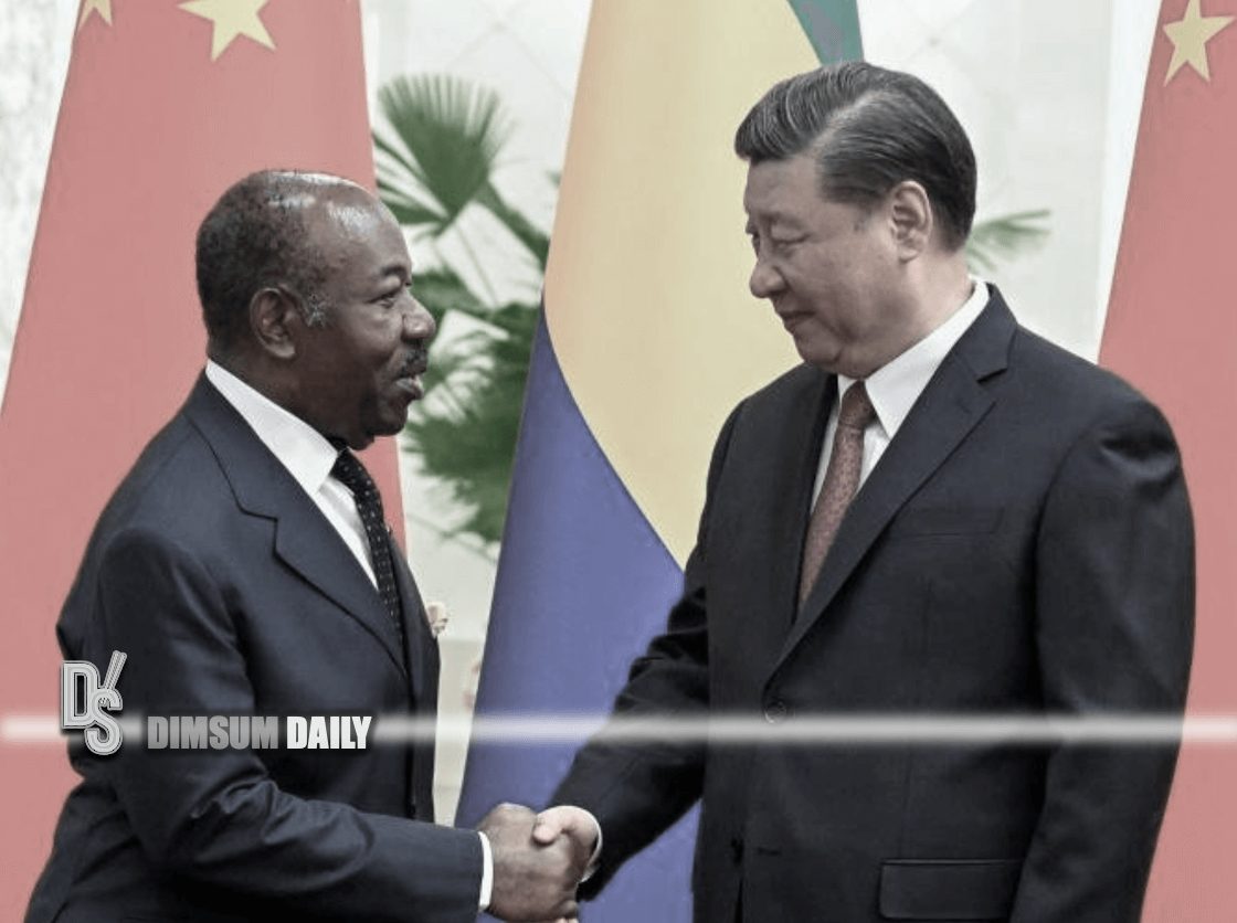 China and Gabon upgrade comprehensive cooperative partnership to ...