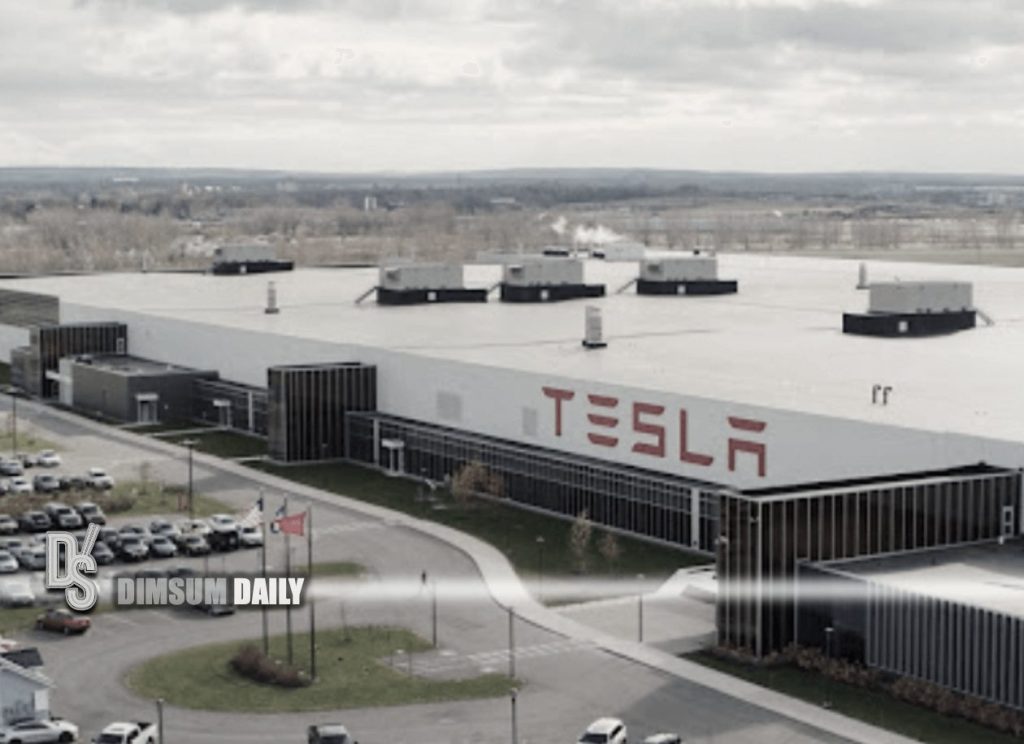 Tesla's full self-driving technology set to launch this year, says Elon ...