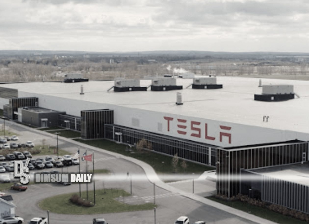 Tesla's full self-driving technology set to launch this year, says Elon ...