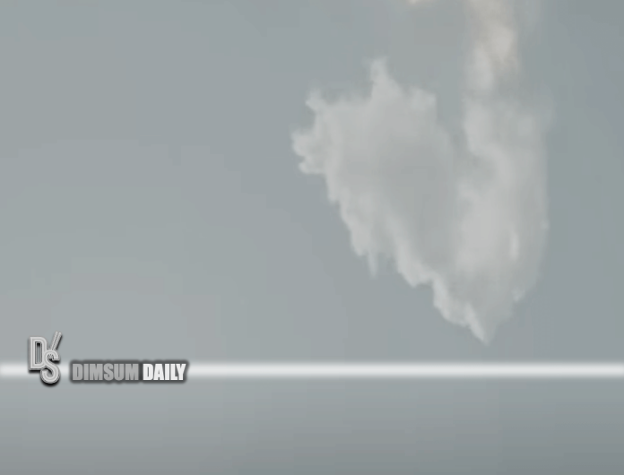 SpaceX's Starship test flight inflicts serious damage on Texas launch ...