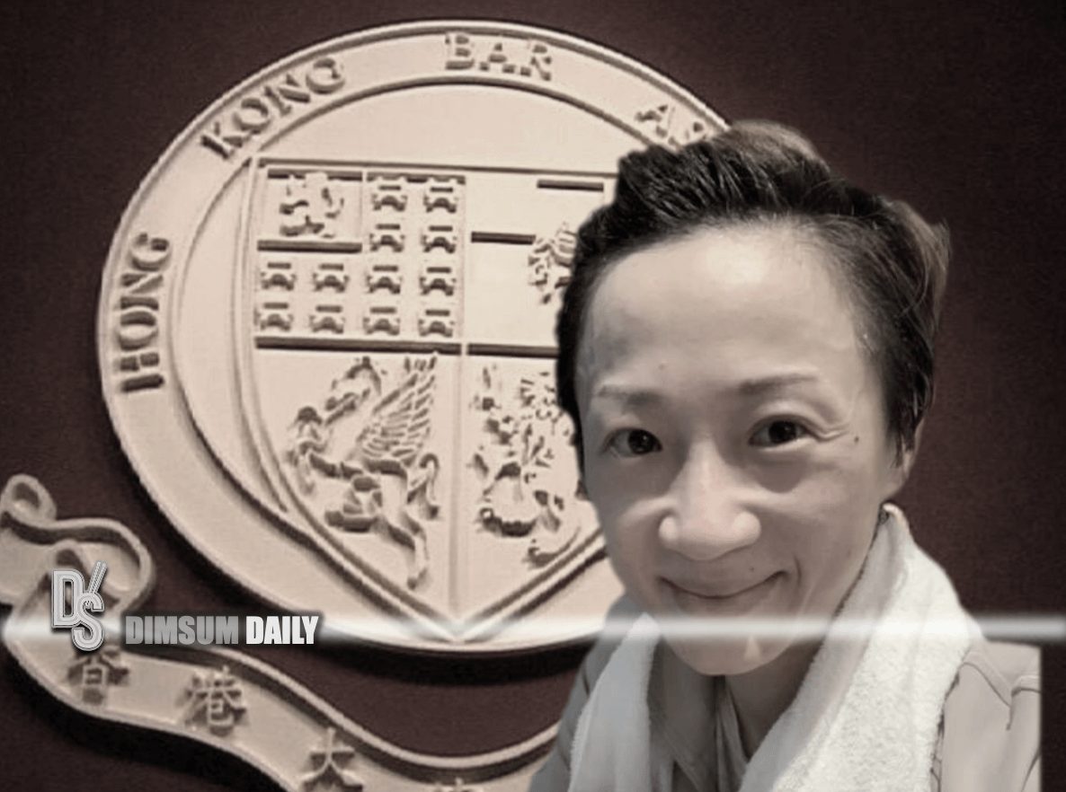 Former HK legislative councillor Tanya Chan fined HK$140,000 by Bar Association for breaching ...