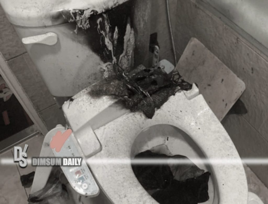 Toilet explosion at home sparks concern online, manufacturer promptly ...