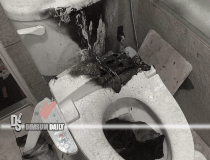 Toilet explosion at home sparks concern online, manufacturer promptly ...
