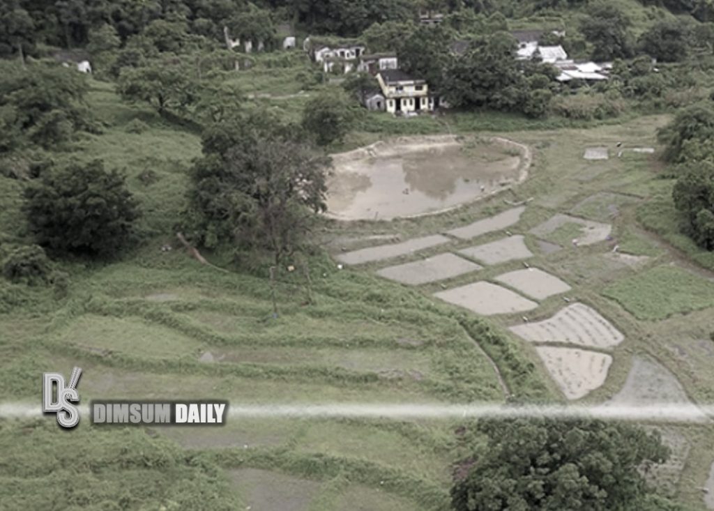 HK$44 million granted for 10 countryside conservation and ...