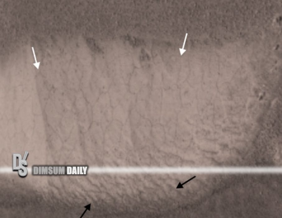 New evidence of recent water activity on Mars found by Chinese ...