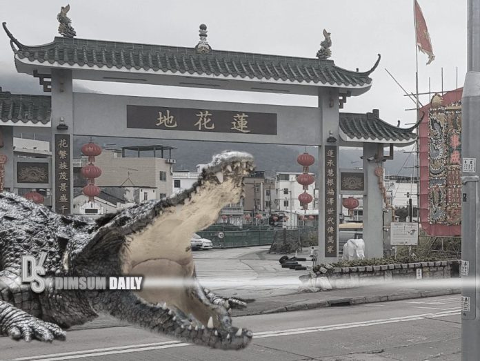 Suspected 2m-long alligator sighting in Lin Fa Tei, Pat Heung (Updated ...