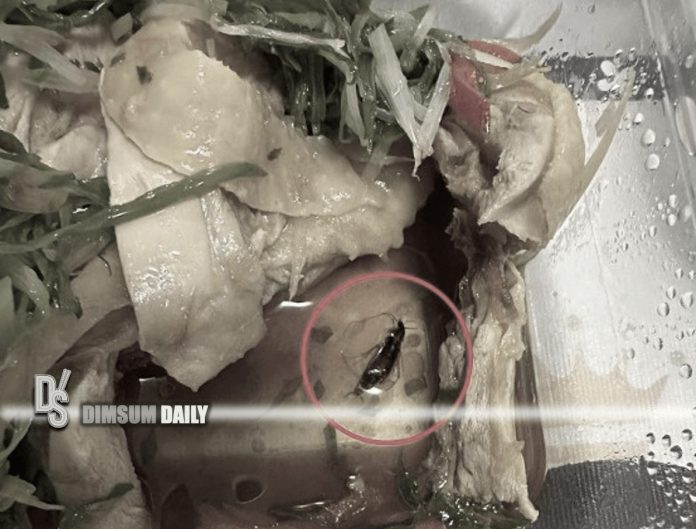 Cockroach found in takeaway dish from restaurant in Fanling - Dimsum Daily