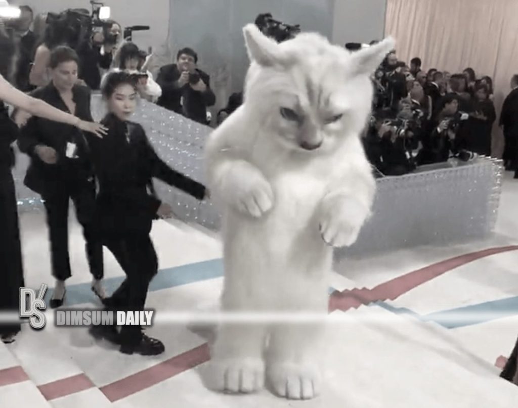 Jared Leto steals the show at 2023 Met Gala in full-body cat costume ...