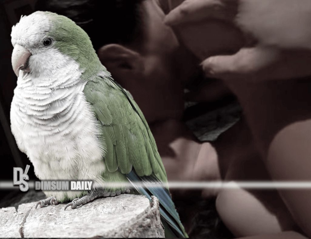 Vietnamese couple's furniture business ends in divorce after wife ...