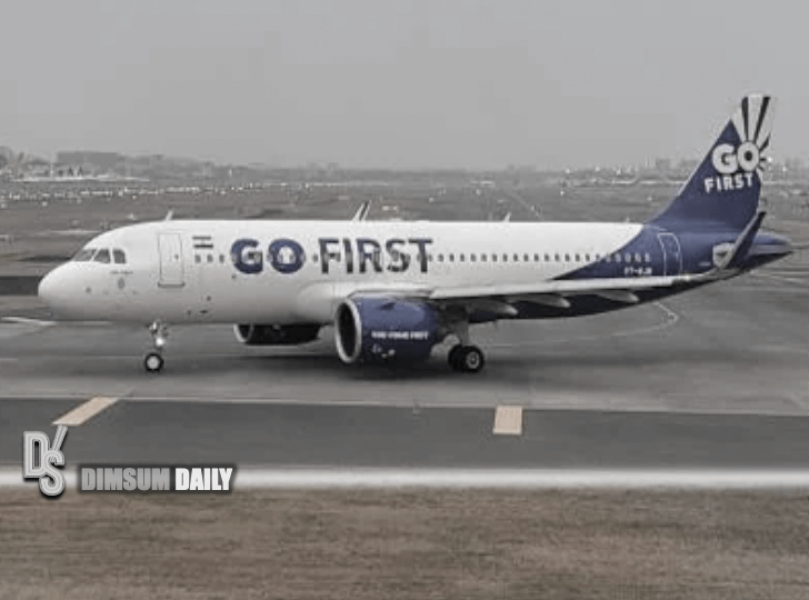 Indian Tribunal grants bankruptcy protection to Go Airlines - Dimsum Daily