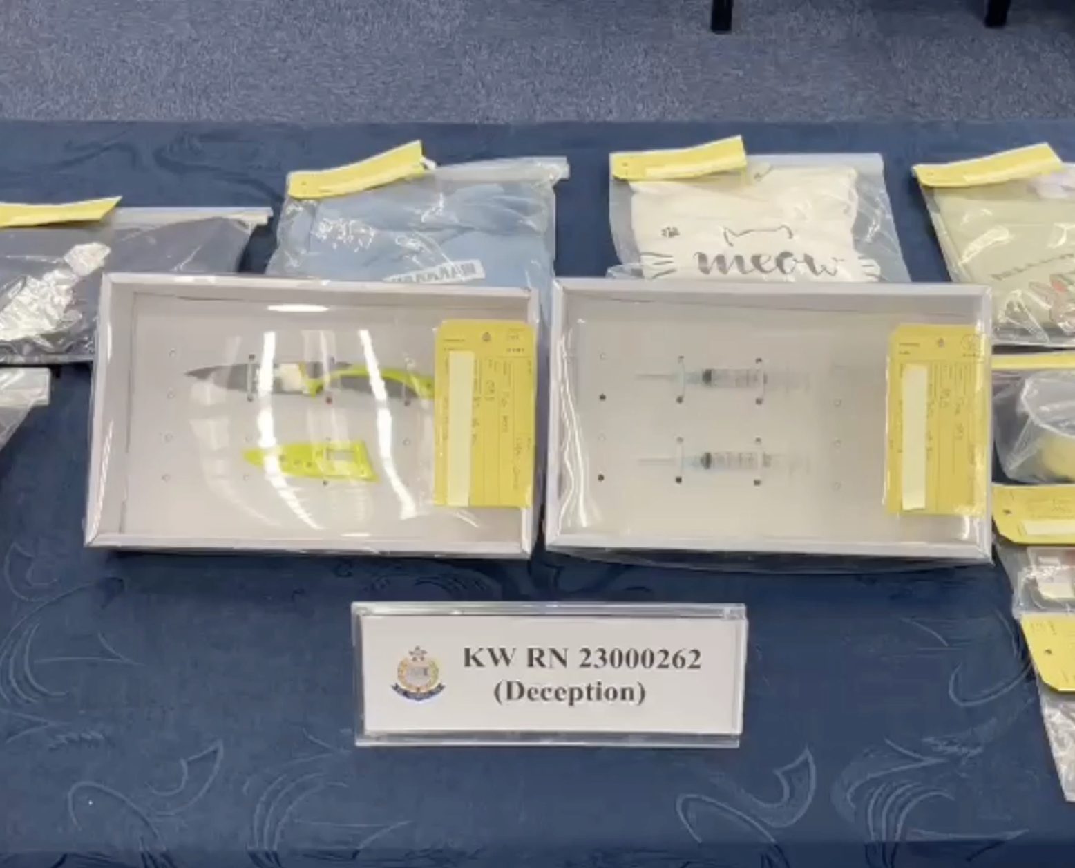 Evidence-seized-2 - Dimsum Daily