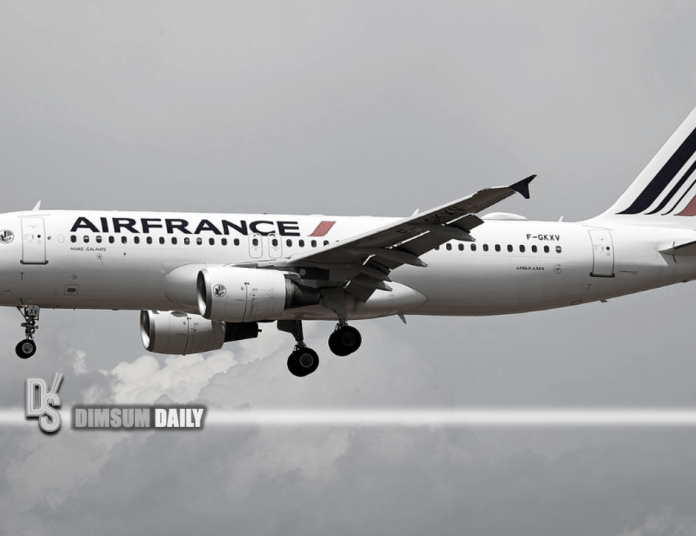 Air France KLM flight returns to Osaka after malfunctioning weather ...