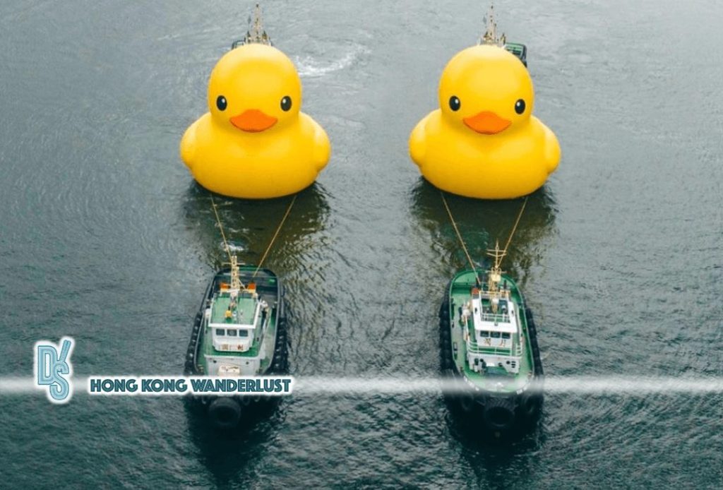 2 giant rubber ducks to 'swim together' in Victoria Harbour starting ...