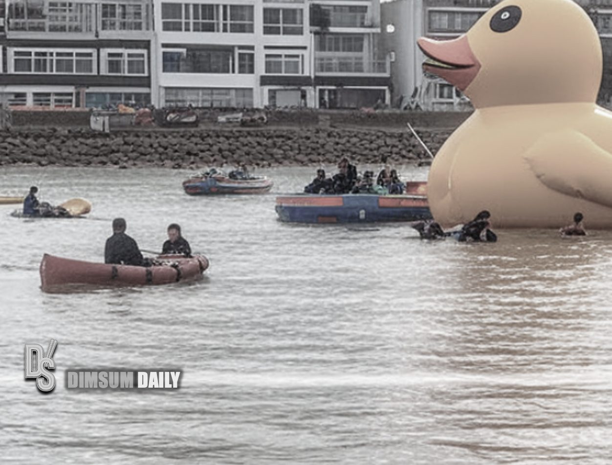 Reproduction duck - Dimsum Daily