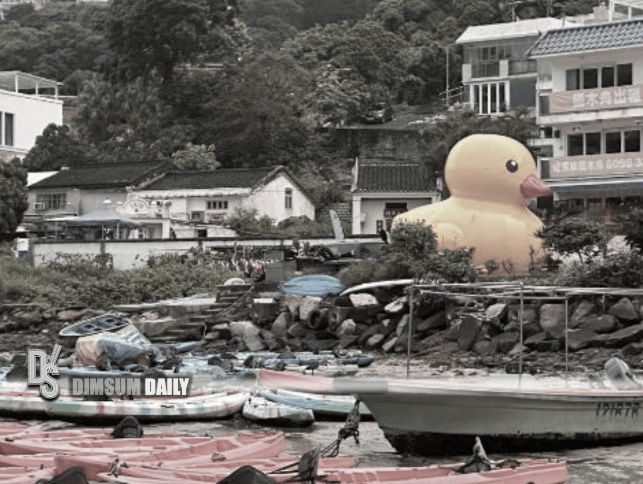 Owner deflates and folds knockoff 5m-high yellow rubber duck illegally ...