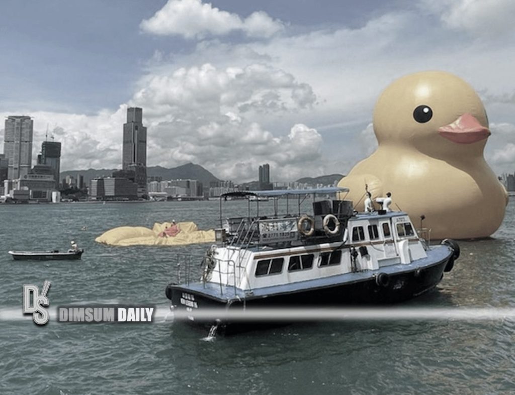 One of Dutch artist Florentijn Hofman's giant ducks deflates at ...