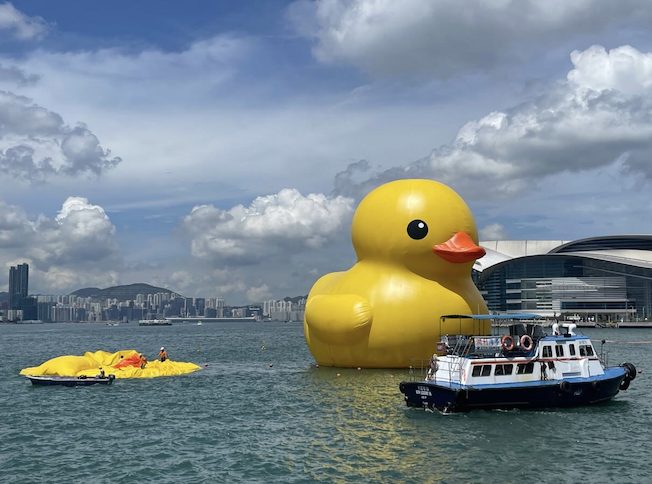 One of Dutch artist Florentijn Hofman's giant ducks deflates at ...