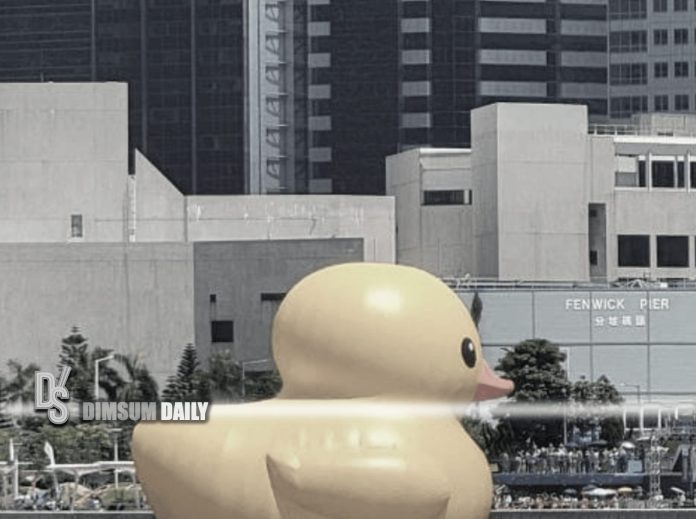 18m giant duck continues solo display in Victoria Harbour amid public ...