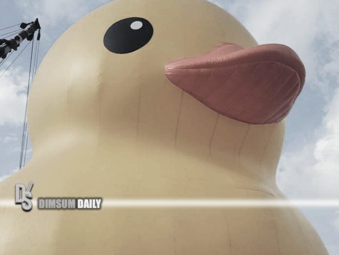 Deflated giant Rubber Duck undergoes condition checks at Tsing Yi ...