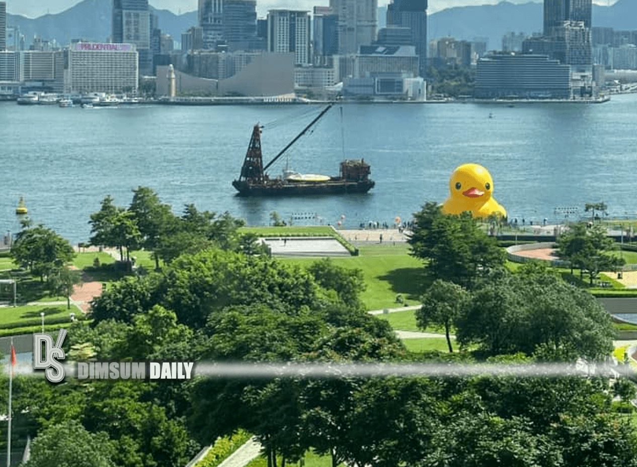 Deflated duck-121 - Dimsum Daily