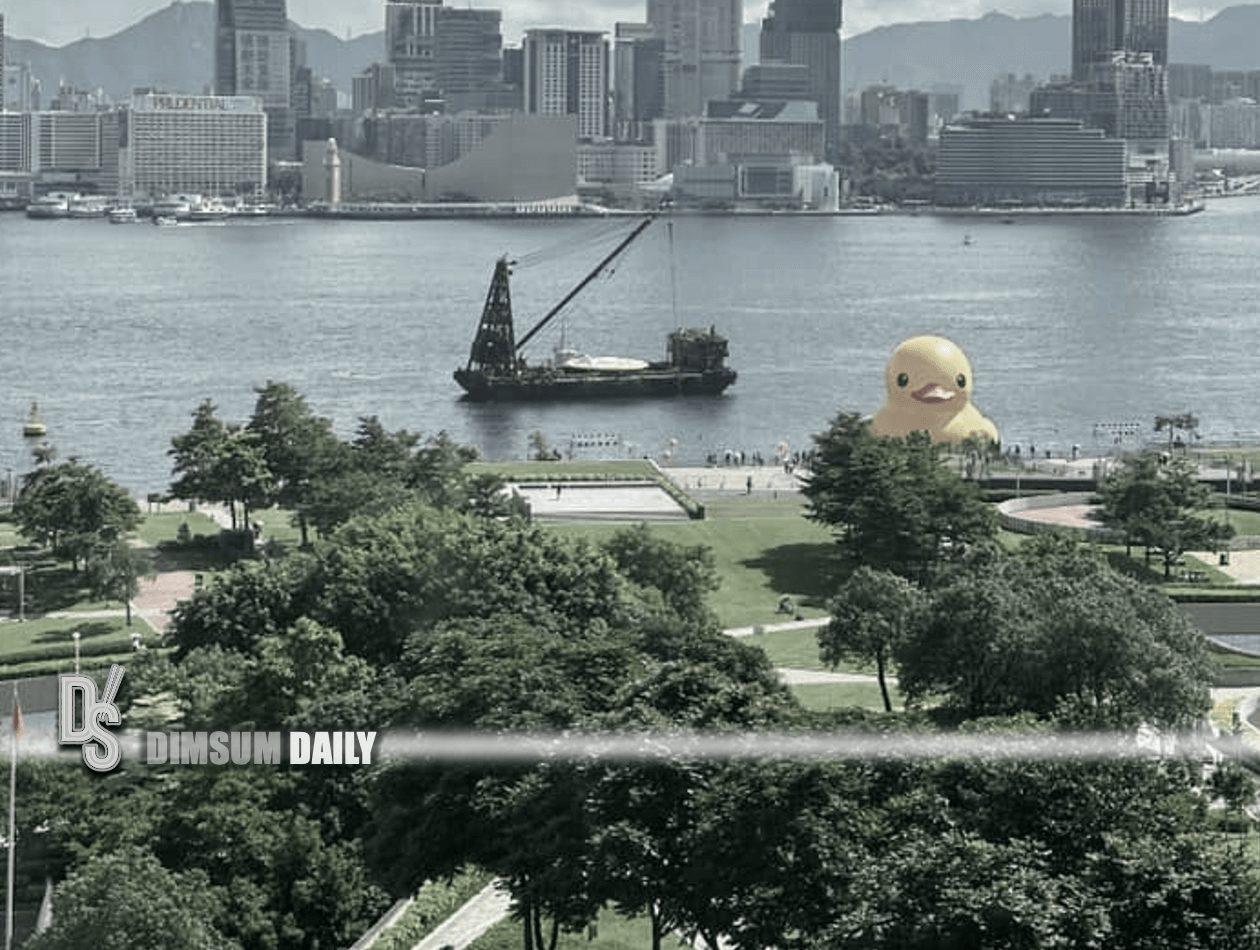 Deflated Rubber Duck returns to Victoria Harbour to join its partner ...