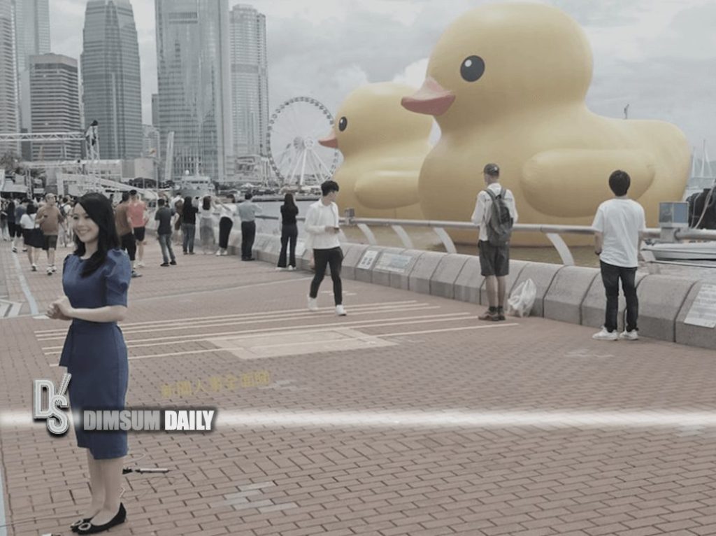 TVB news anchor Jacky Lin Ting-ting's coverage of the yellow Rubber Duck's return reveals her ...