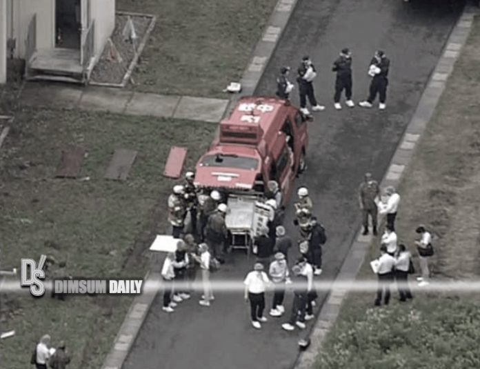 Two GSDF members killed and one injured in shooting incident at ...