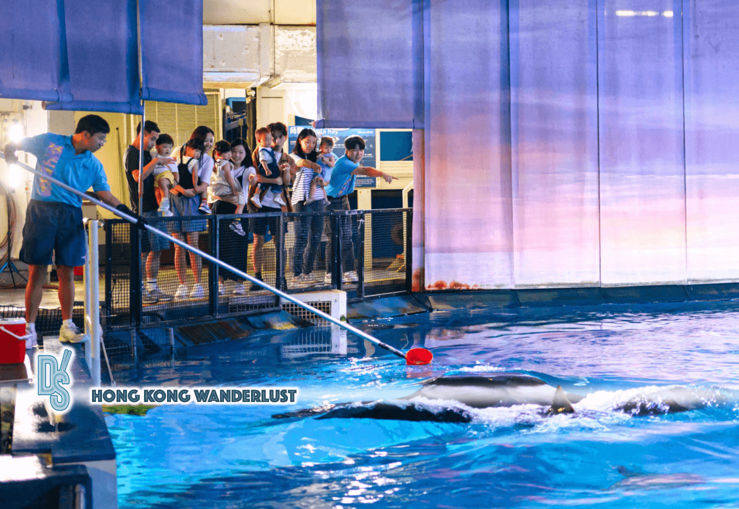 Ocean Park’s Summer Adventure Series returns with new programs and water activities - Dimsum Daily