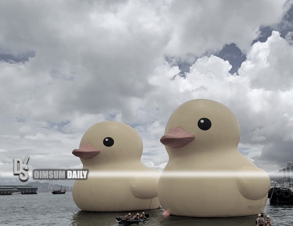 Giant Rubber Ducks to conclude Hong Kong tour on Father's Day, one of ...
