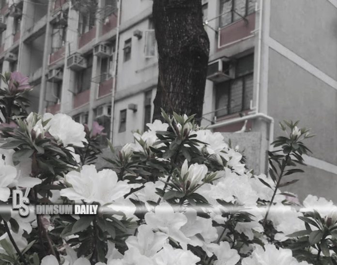 Elderly woman falls to her death from high floor at Tung Tau Estate in ...