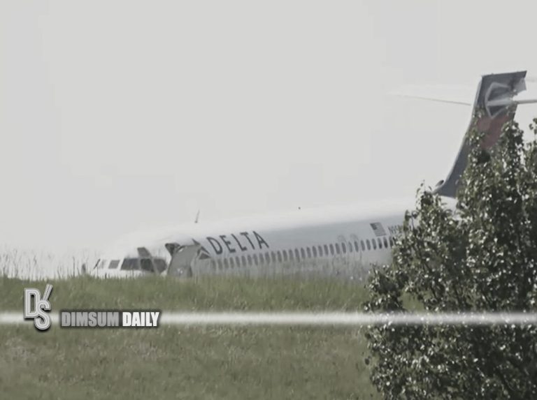 Delta Airlines flight makes emergency landing in North Carolina without nose gear - Dimsum Daily