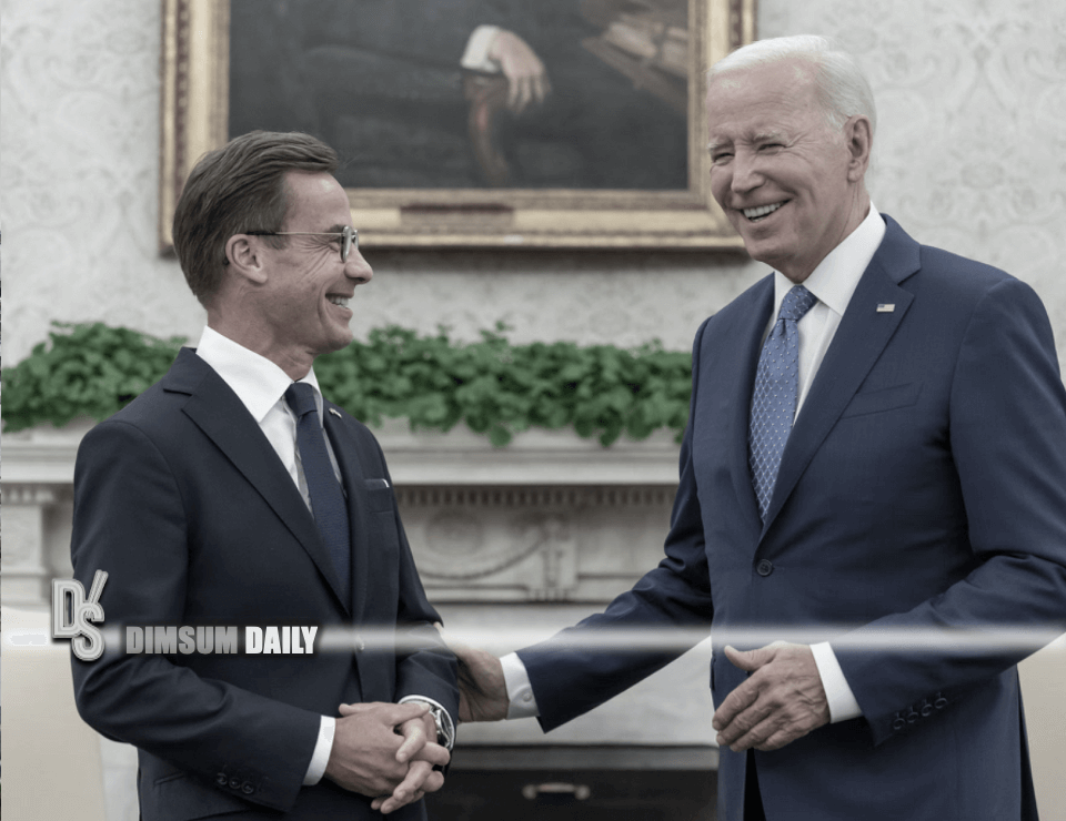 U.S. President Biden expresses support for Sweden's NATO membership bid ...