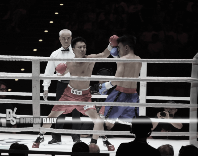 HK social media influencer Derek Cheung wins by TKO against Toyz in high-profile boxing match in ...
