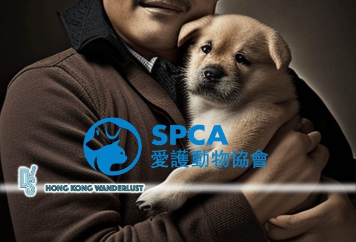 Bloom and bark with your best friend or adopt a rescue puppy at the SPCA Summer Fun Festival on ...