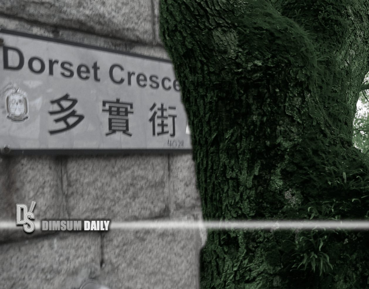 Tourist bus damaged as Typhoon Talim causes 15-meter Banyan Tree branch ...