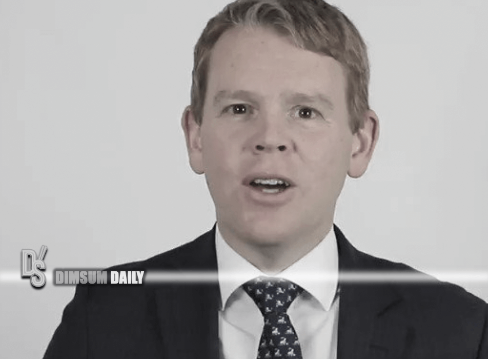 New Zealand PM urges deeper cooperation with China at business summit ...