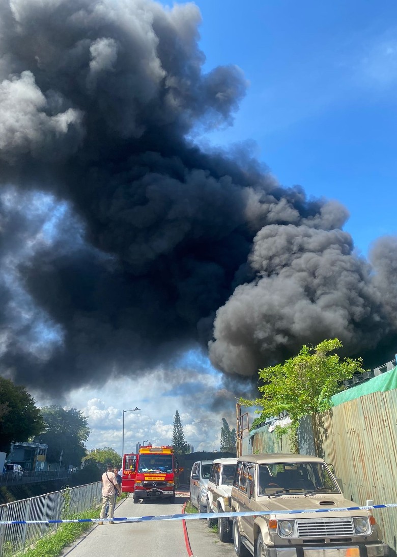 bkn-20230720160523298-0720_00822_001_02b - Dimsum Daily