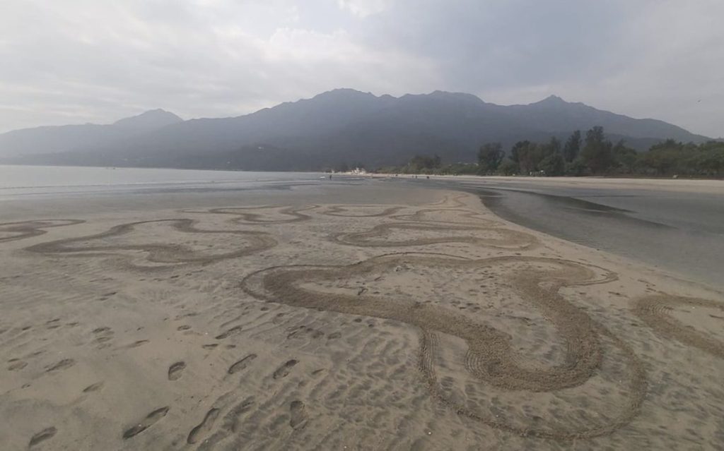 Meet Derek Yung, the only artist who has been drawing on Hong Kong ...