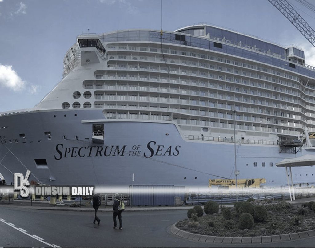 Passenger falls overboard from Royal Caribbean cruise ship 'Spectrum of ...