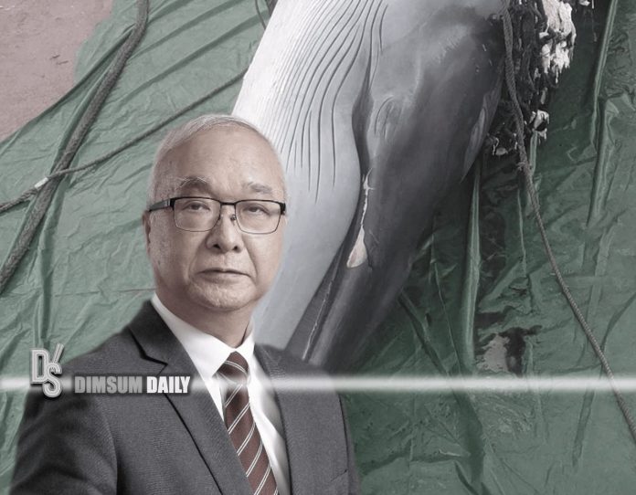 HK government faces challenges in holding whale watchers accountable ...