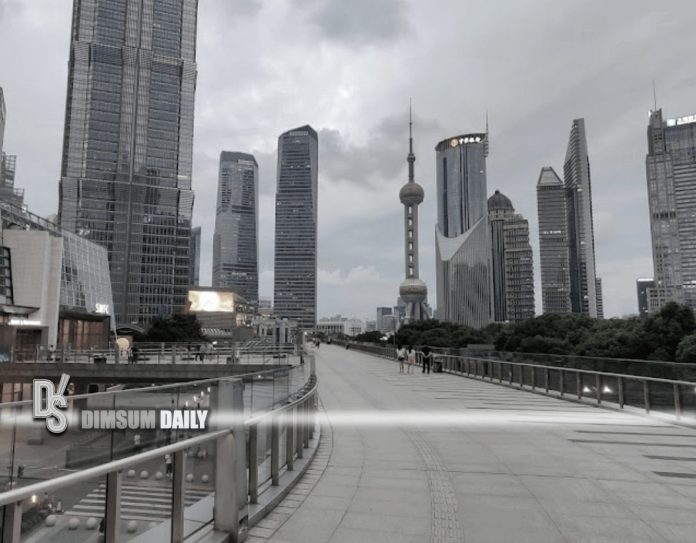 Shanghai's Pudong new area records a robust foreign trade growth in H1 ...